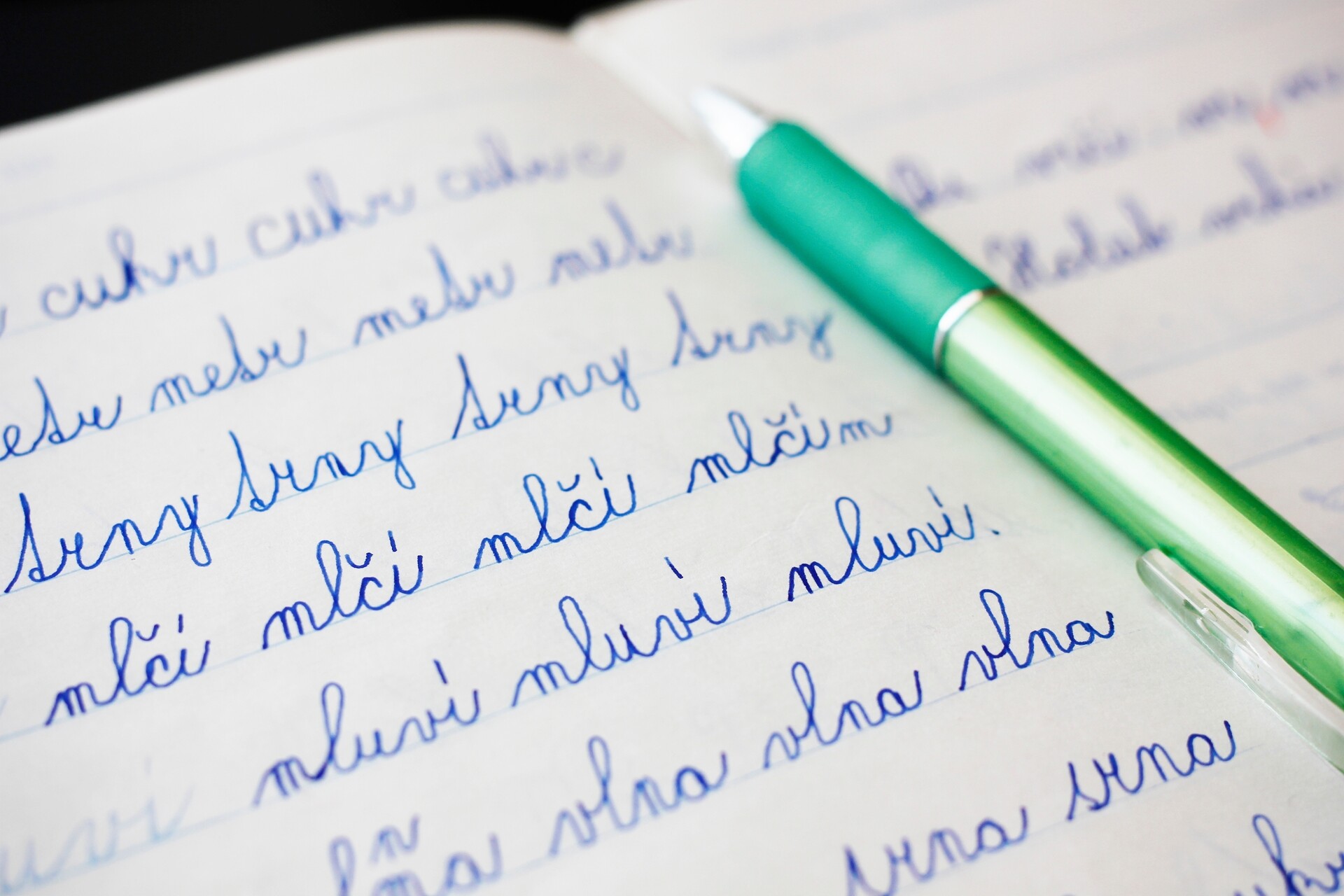 Nechcete to radši nakreslit? O svátku, který připomíná, že pravopis je ...