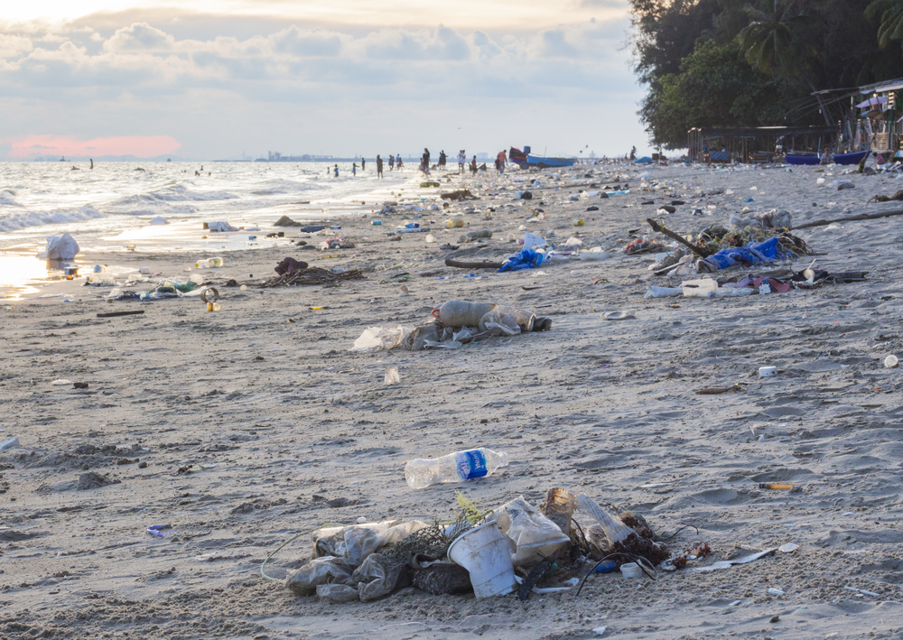 Papírové tašky došly? Radujte se. Jsou méně ekologické než igelitky ...