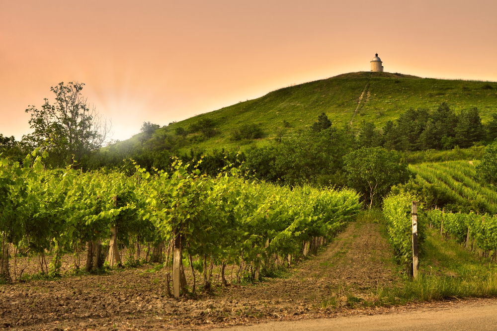 Proč si zamilovat jižní Moravu - Flowee