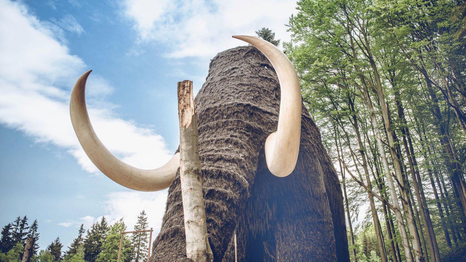 Na Dolní Moravu se po 40 000 letech vrátil mamut - Flowee