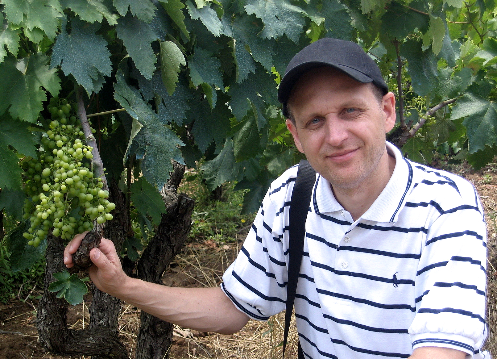 Genetika a civilizační choroby? Mnohem zásadnější je životní styl, říká ...